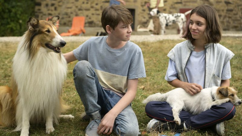 Ein neues Abenteuer von Lassie im Kino | Checky | Die Kinderzeitung